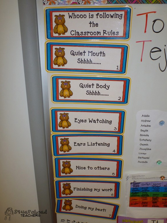 The Classroom- Owl Style | Squarehead Teachers