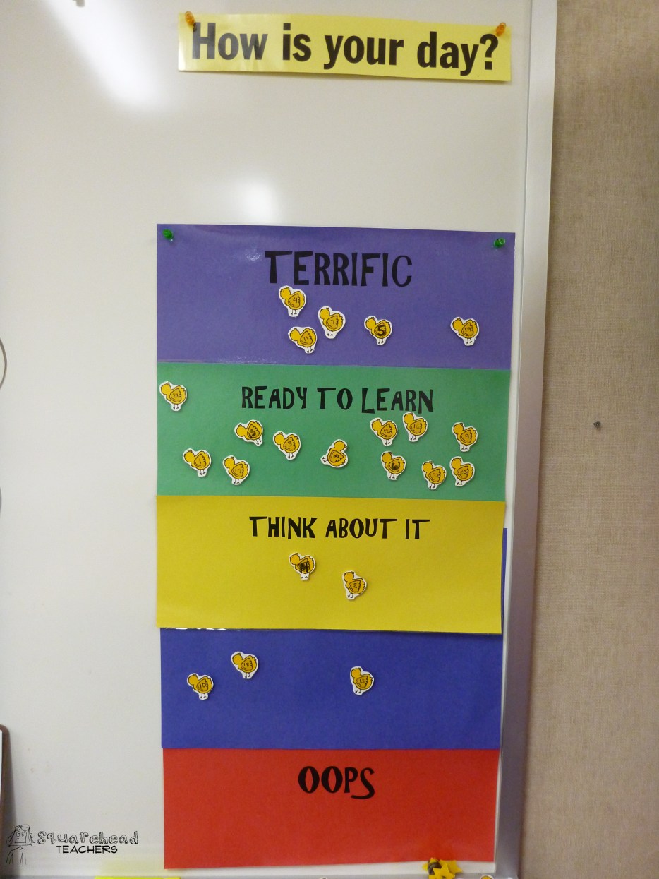 Management System: Colors | Squarehead Teachers