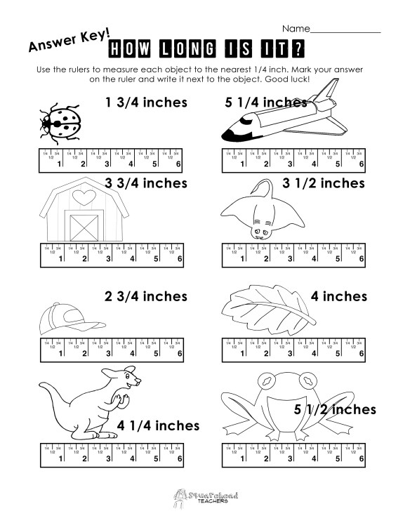 Measurement Practice 3 | Squarehead Teachers