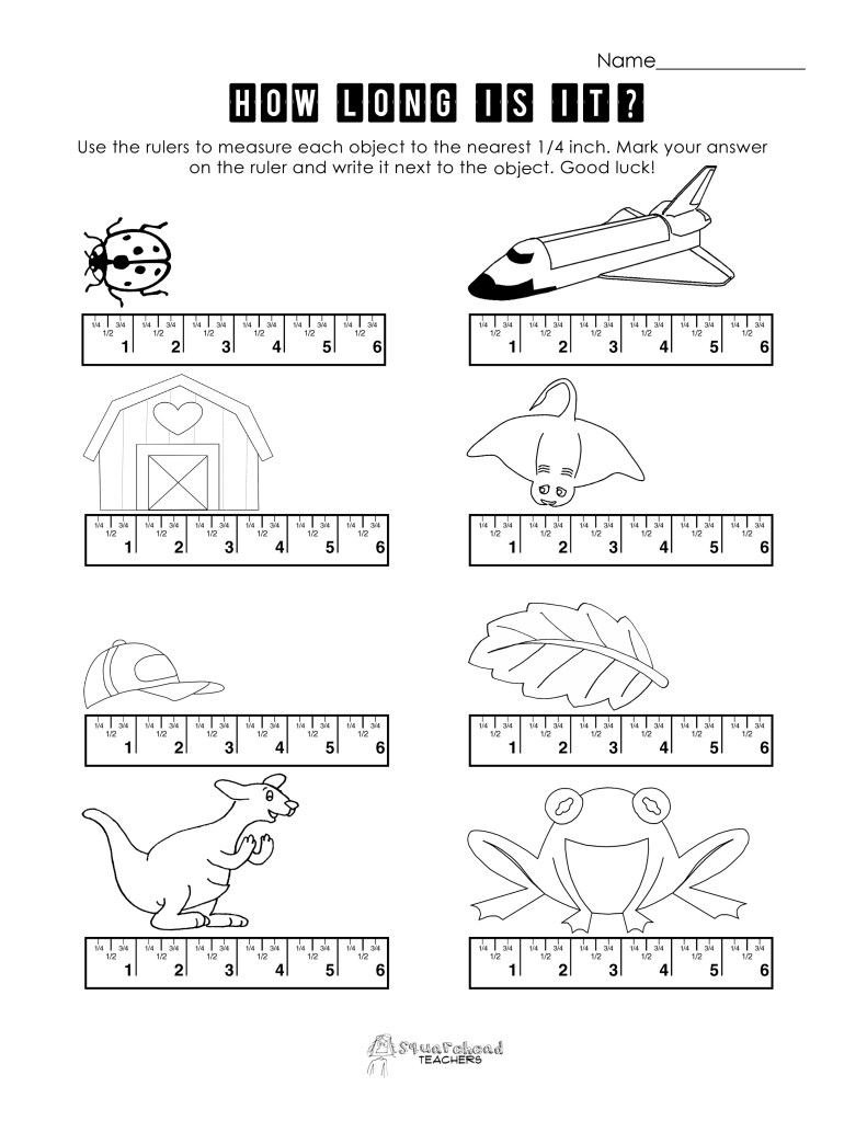 ruler | Squarehead Teachers