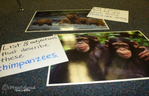 Make Your Own Visual Creative Writing Prompts | Squarehead Teachers