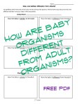 How are Baby Organisms Different From Adults | Squarehead Teachers