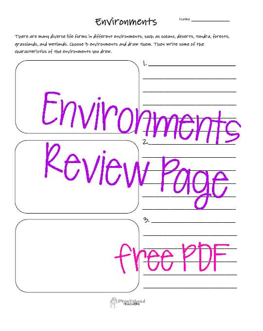 Environments | Squarehead Teachers