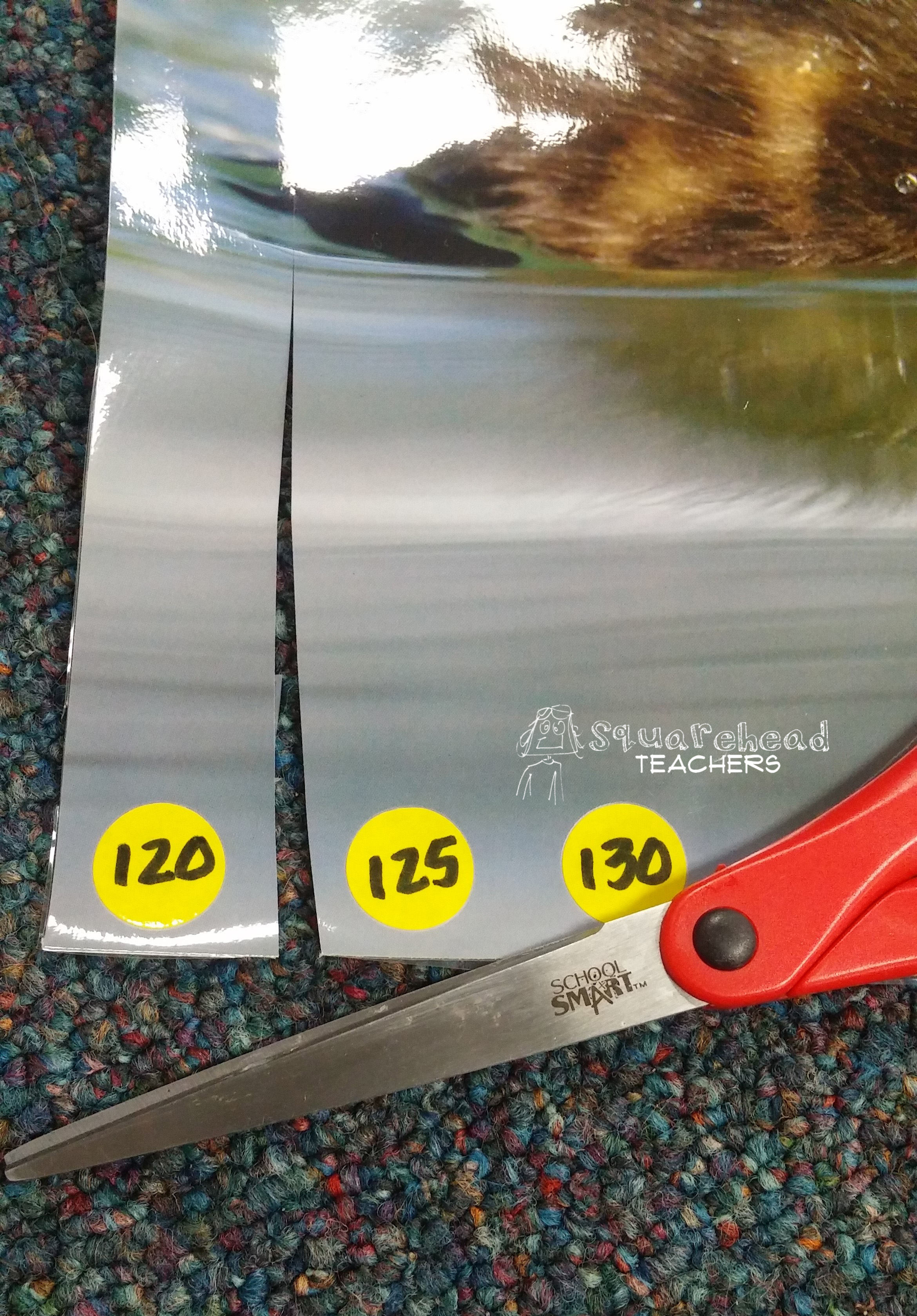 Math | Squarehead Teachers