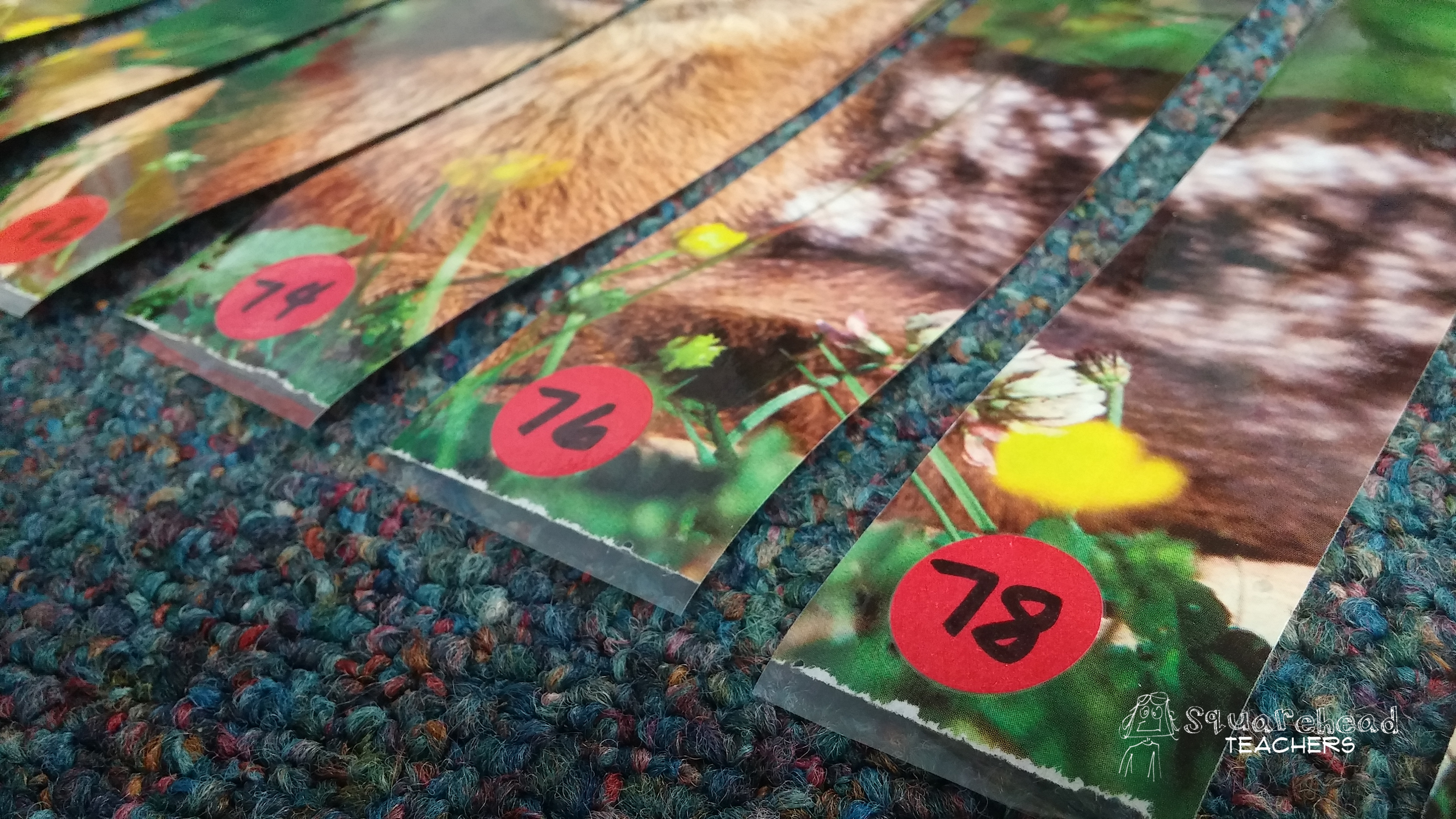 Patterns Sequences Squarehead Teachers